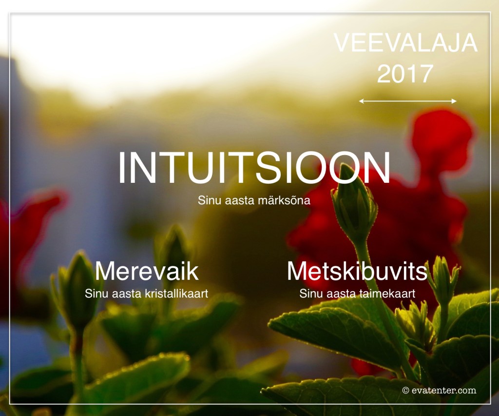Horoskoop 2017 – Veevalaja – Vestlused inglitega